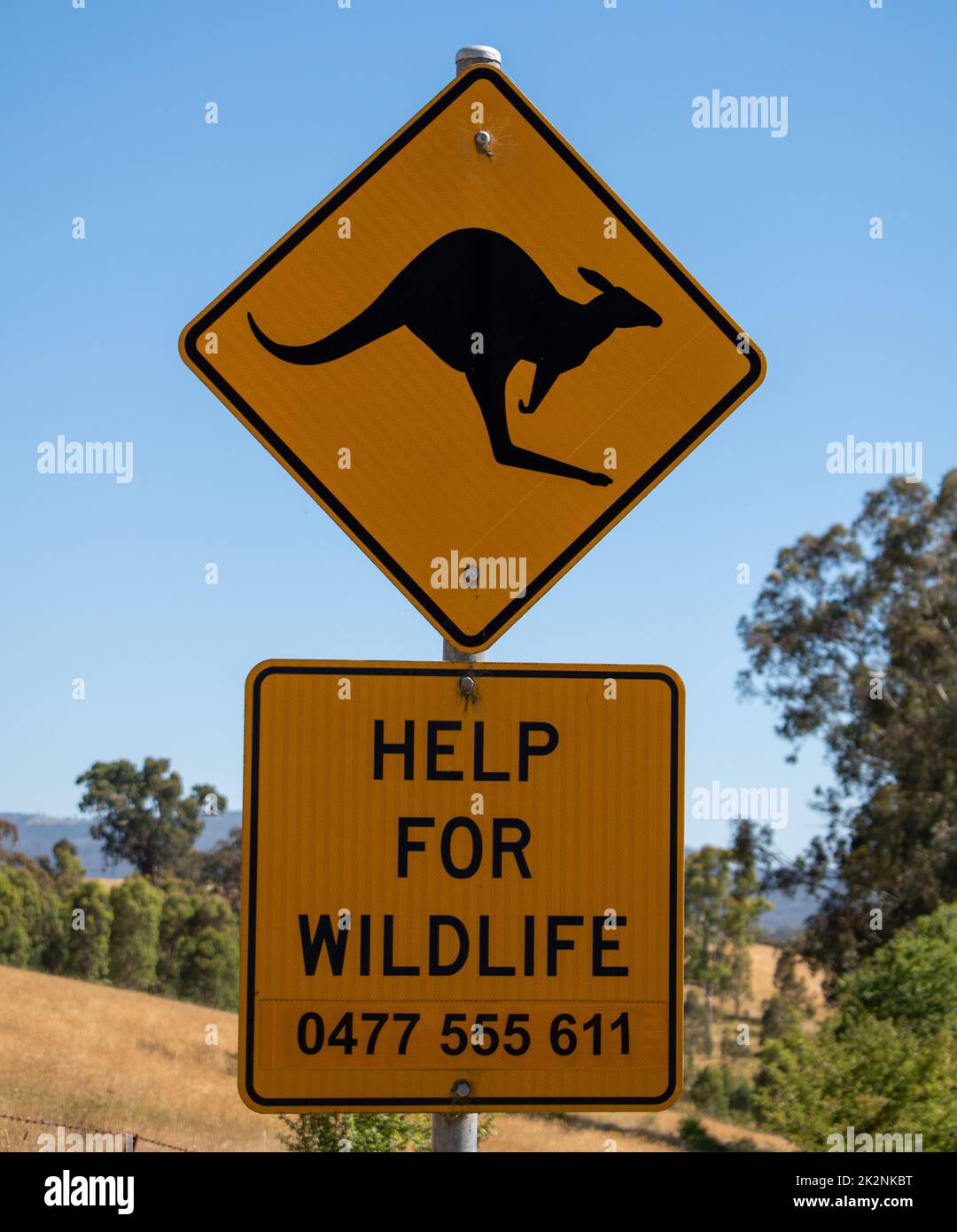 A country road sign beware of kangaroos and help line for injured ...