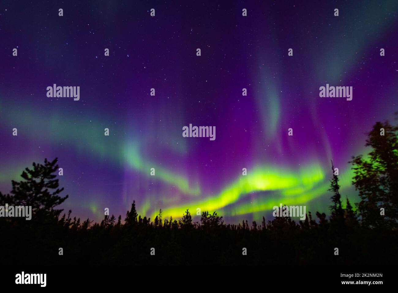 A green neon Aurora Borealis in the sky Stock Photo - Alamy