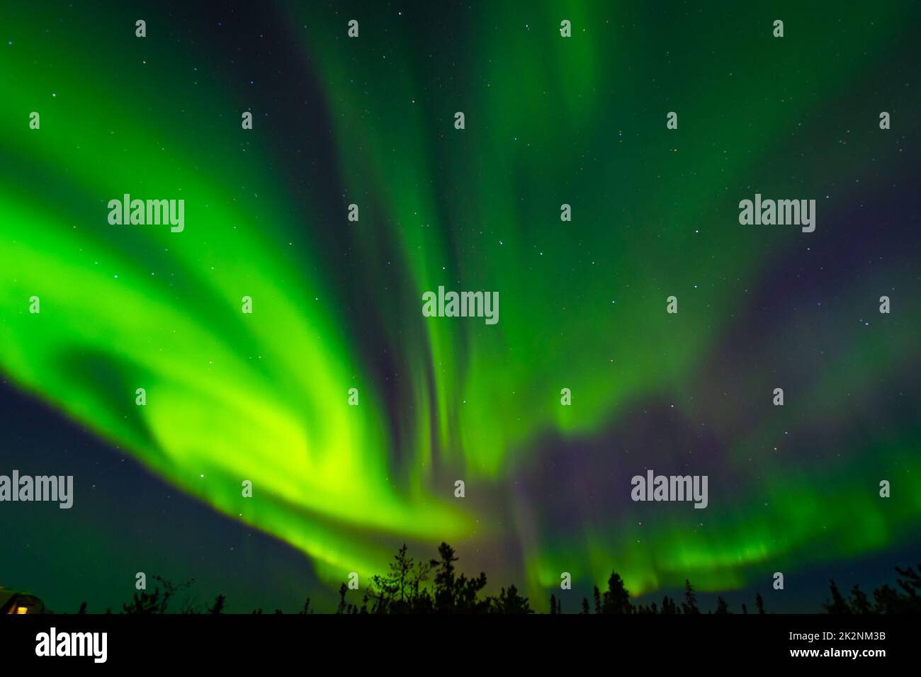 A green neon Aurora Borealis in the sky Stock Photo - Alamy