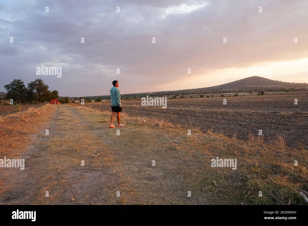 A human standing in field surrounded by growing trees during sunset ...