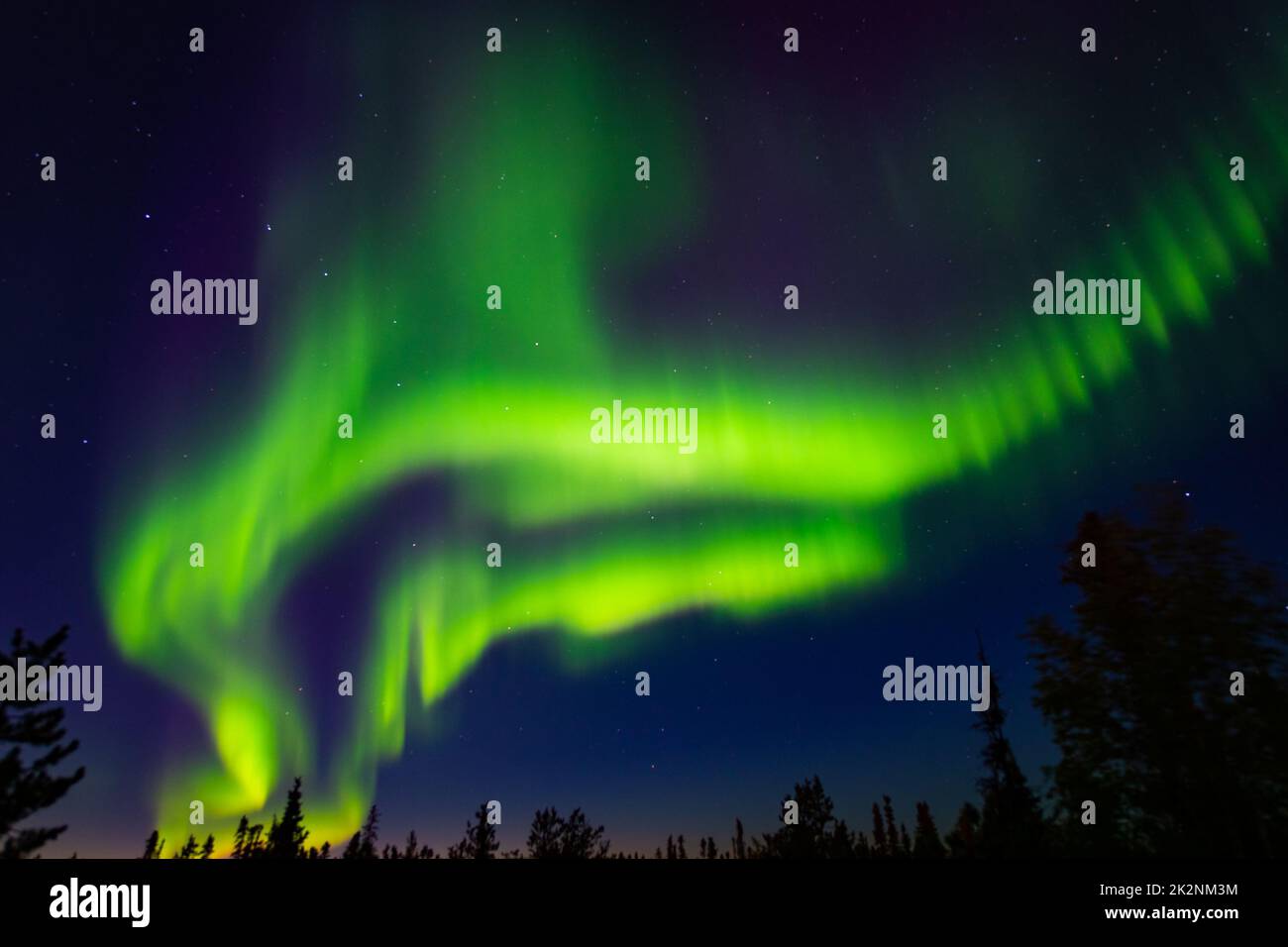A green neon Aurora Borealis in the sky Stock Photo - Alamy