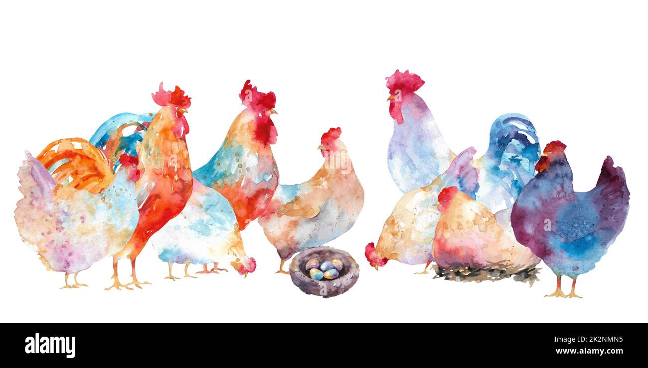 Watercolor chickens and roosters. Collection of colorful hens and cockerels on a white ...