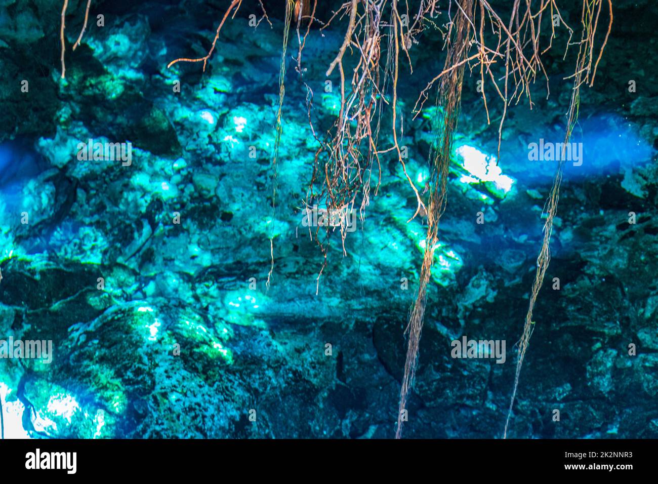 Blue turquoise water limestone cave sinkhole cenote Tajma ha Mexico ...