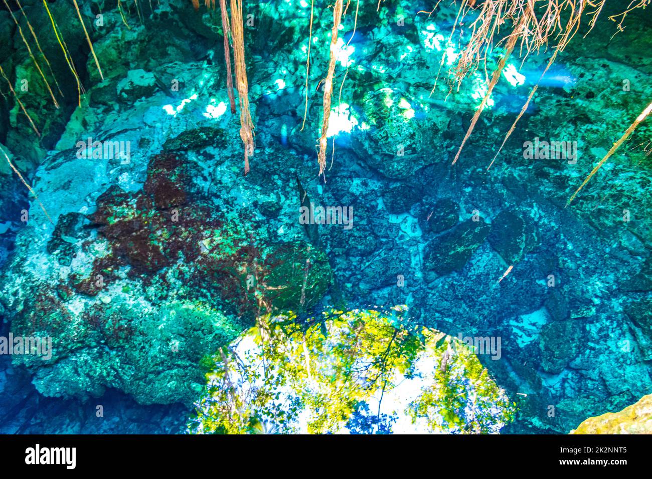 Blue turquoise water limestone cave sinkhole cenote Tajma ha Mexico ...