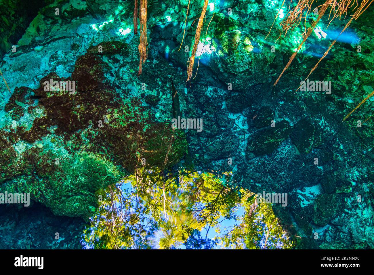 Blue turquoise water limestone cave sinkhole cenote Tajma ha Mexico ...