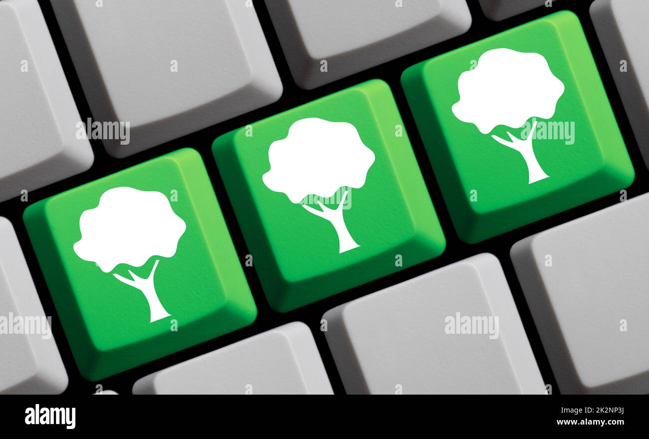 Three trees on green computer keyboard - 3d illustration Stock Photo ...