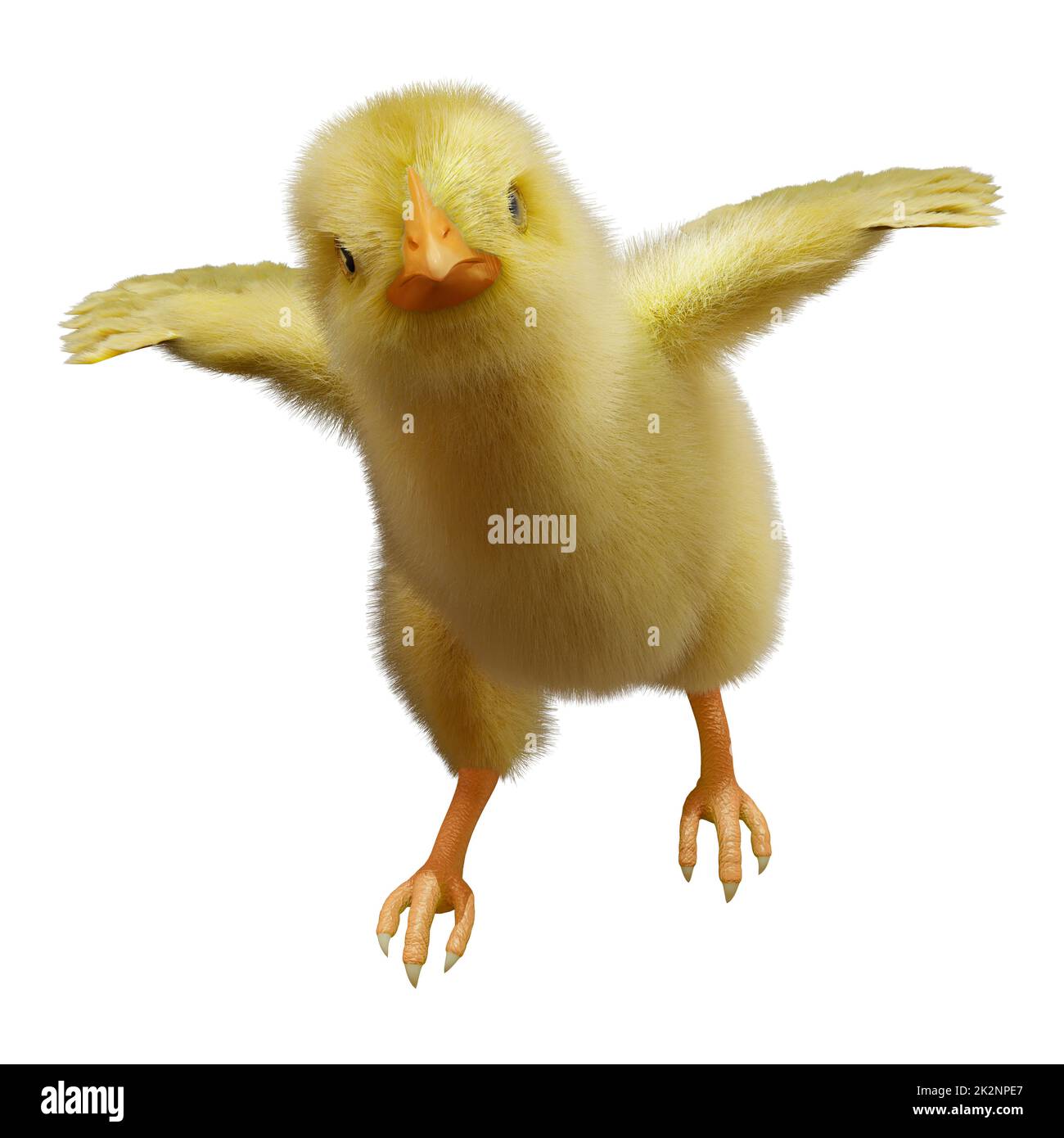 Flying white hen hi-res stock photography and images - Alamy