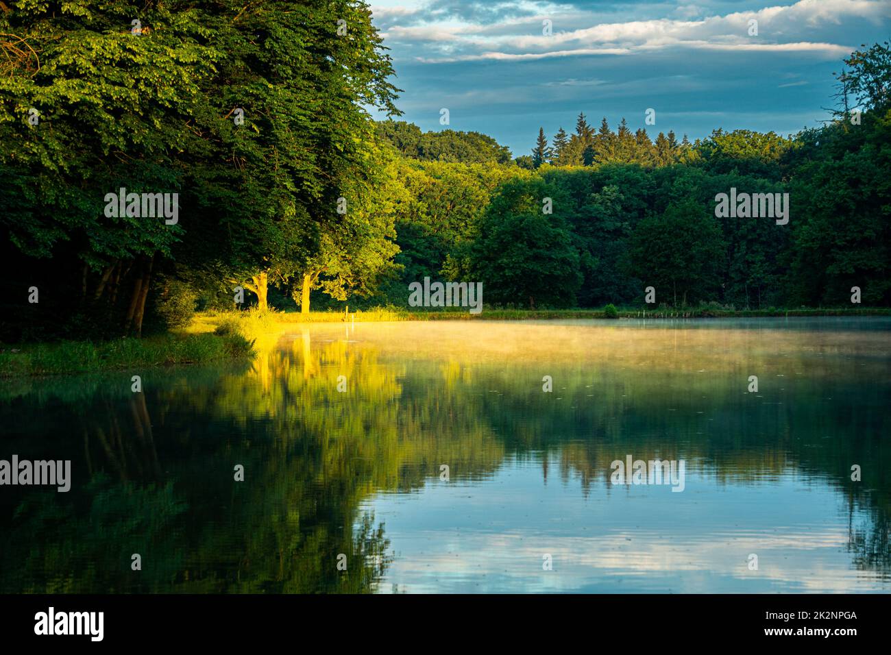 A beautiful summer landscape with the lake reflecting green vegetation ...