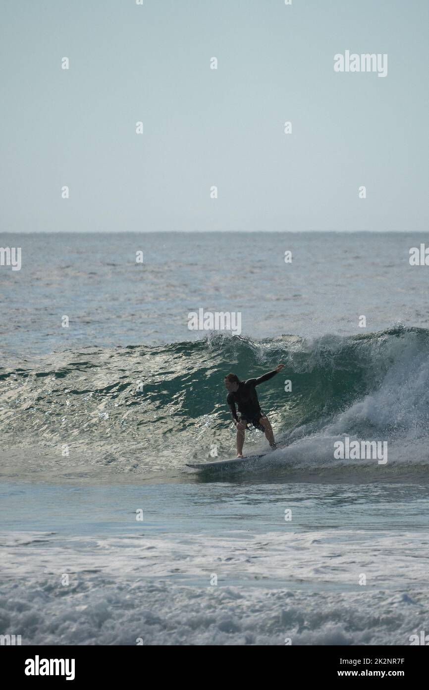 A vertical shot of surfer riding surfboard in ocean Stock Photo - Alamy