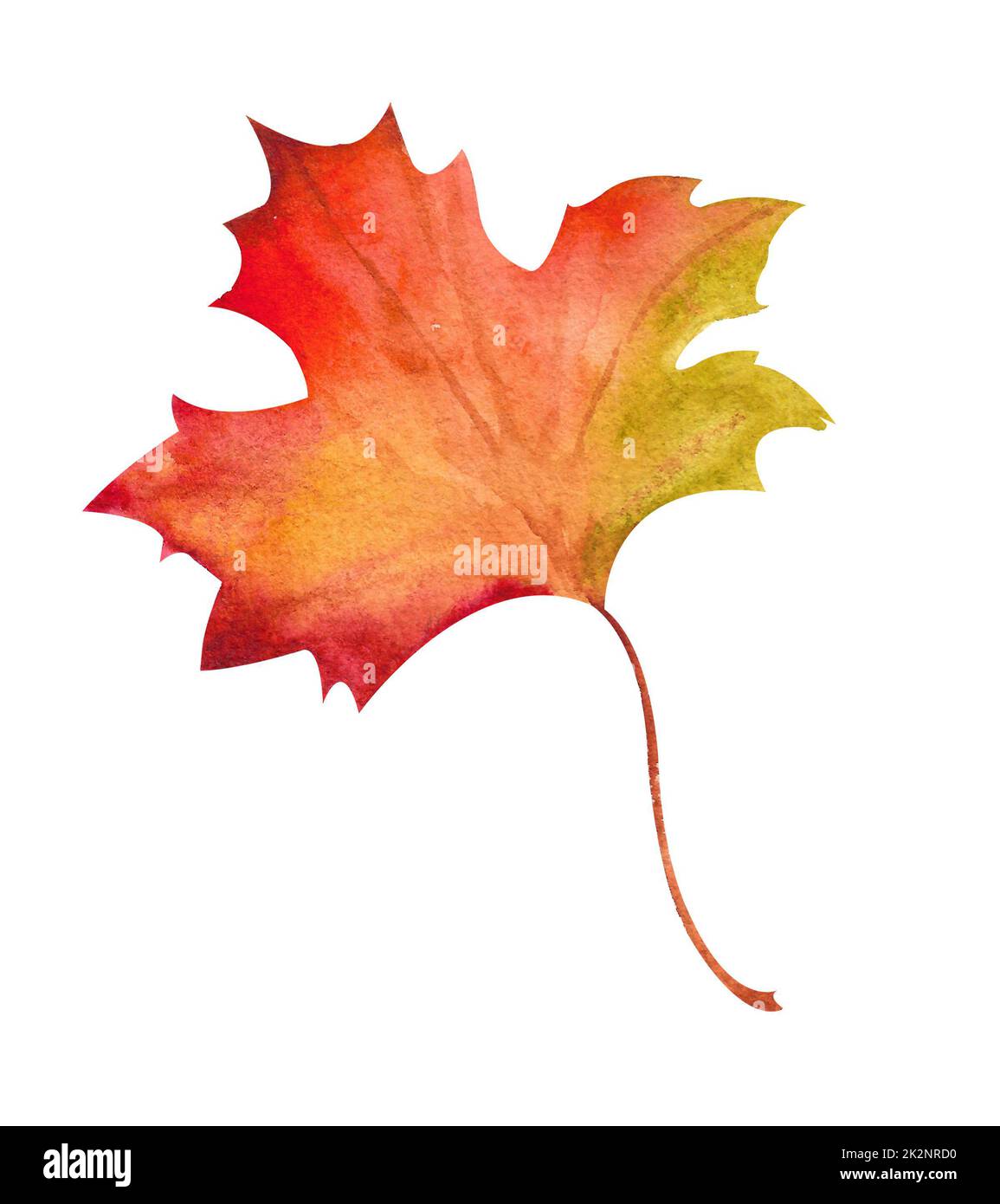 Watercolor maple leaf hi-res stock photography and images - Alamy