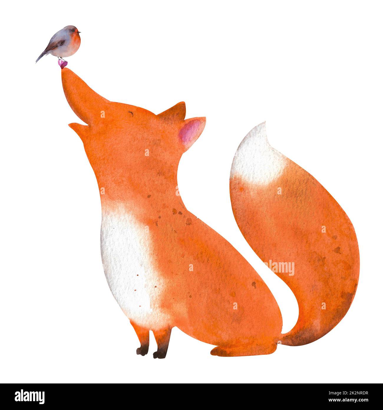 Watercolor fox. Little fox with a bird on its nose on a white ...