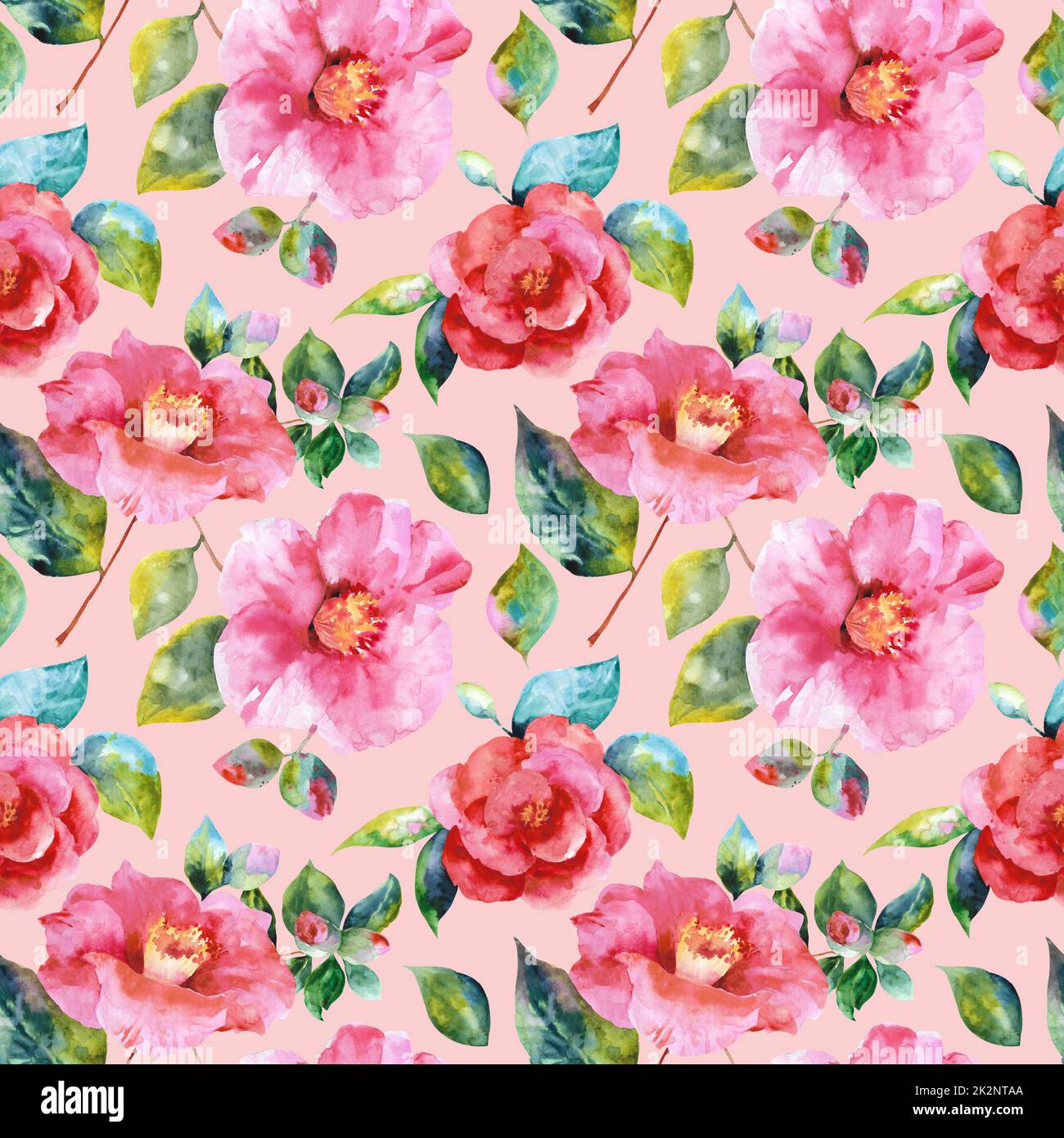 Watercolor pattern of camellias. Pattern background of pink camellias ...