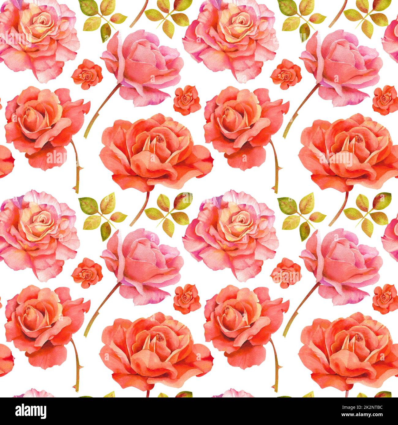Watercolor pattern of roses. Pattern background of red and pink roses ...