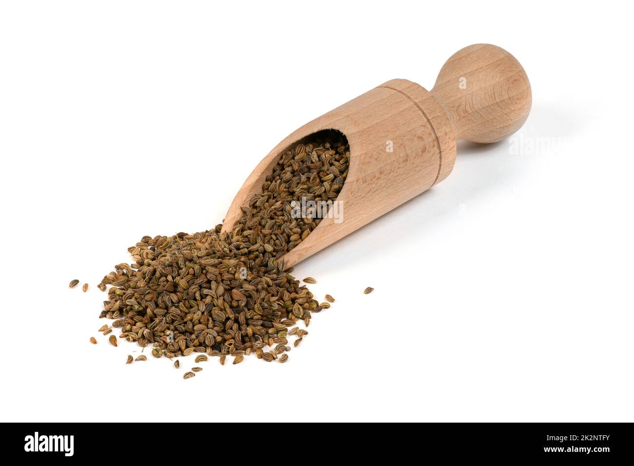 A pile of parsley seeds is ready to plant in a spring garden. These ...