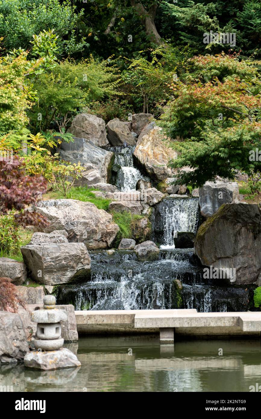 A place of zen, peace, and tranquility in the middle of the hustle and ...