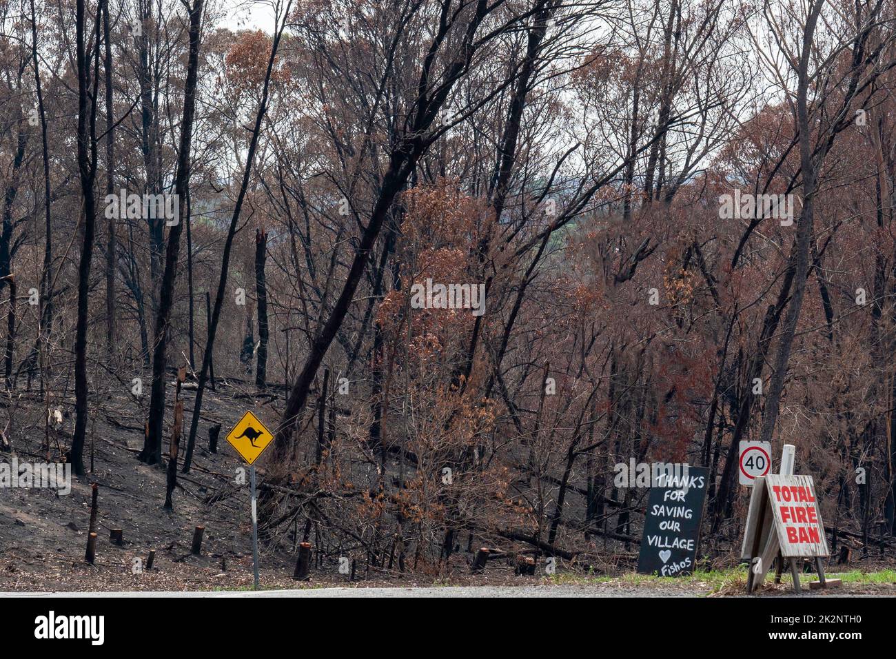 The warning signs in a burnt forest after a bonfire Stock Photo - Alamy