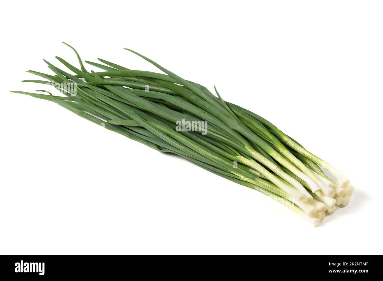 Spring onions on white background. High resolution photo. Full depth of ...