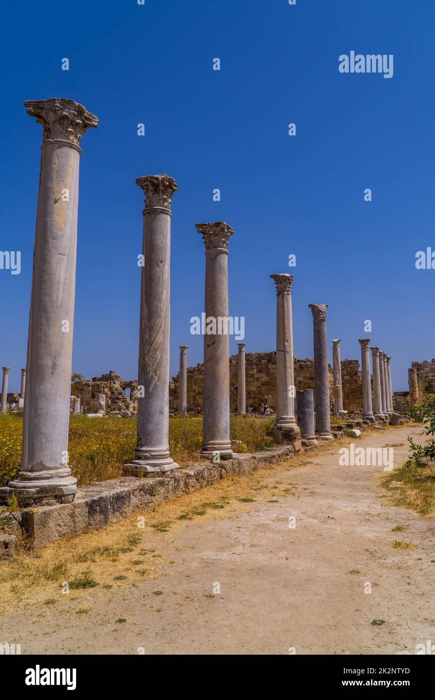 A vertical view of an alley with Greek ruins in Salamis Ancient City ...