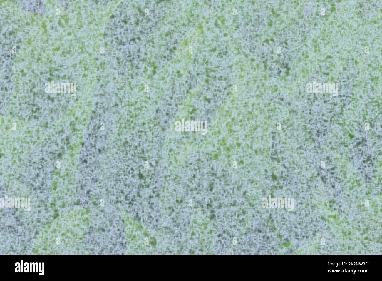 Light green texture, light green background. High resolution photo ...