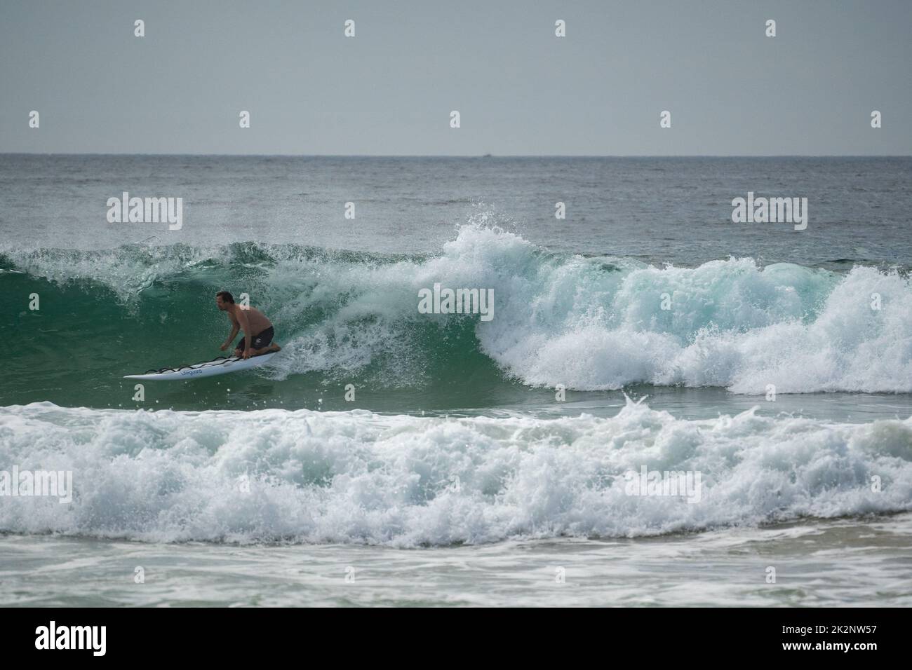 The surfer catching waves and having fun on Manly Beach. Australia ...