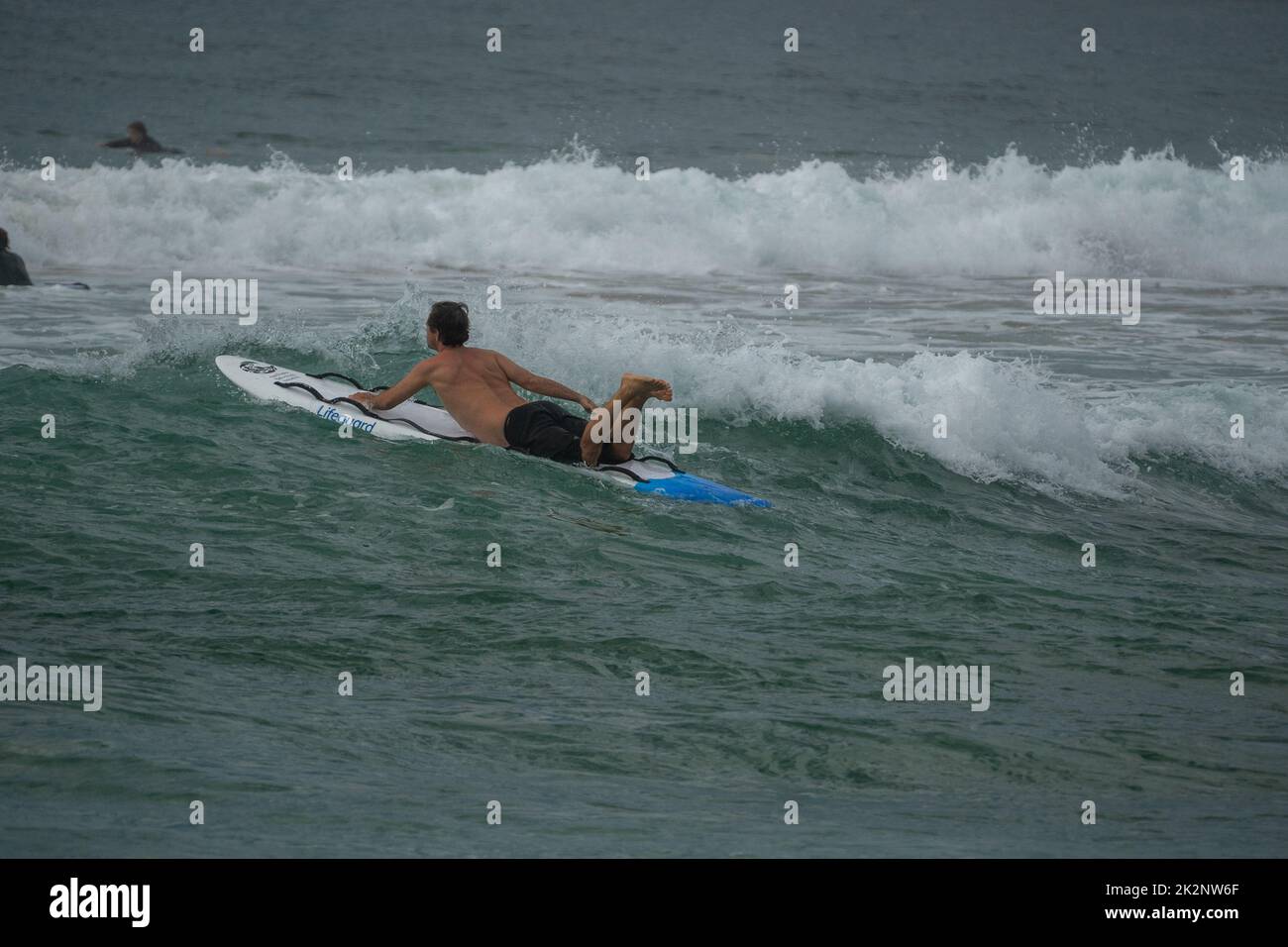 The surfer catching waves and having fun on Manly Beach. Australia ...