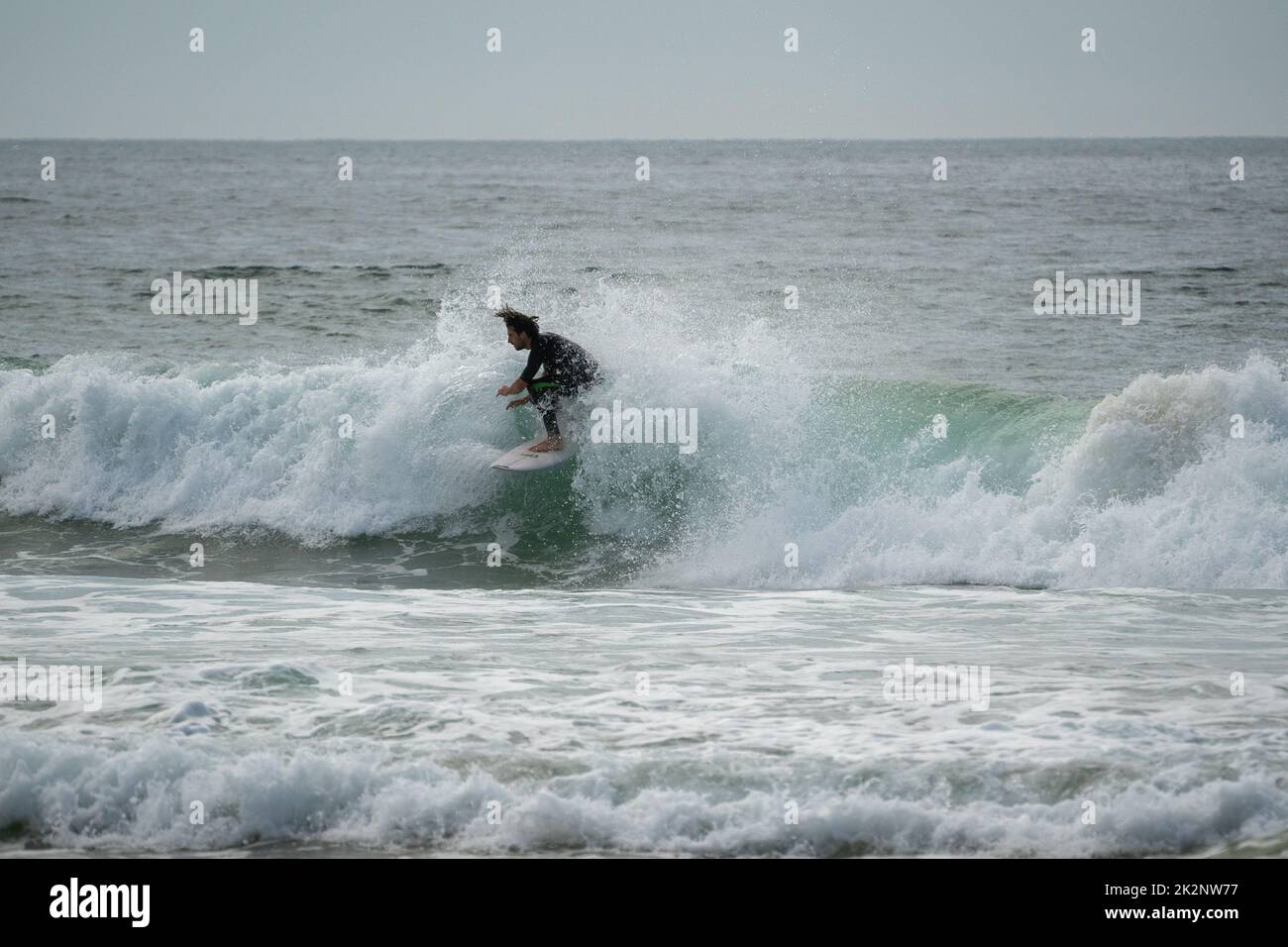 The surfer catching waves and having fun on Manly Beach. Australia ...