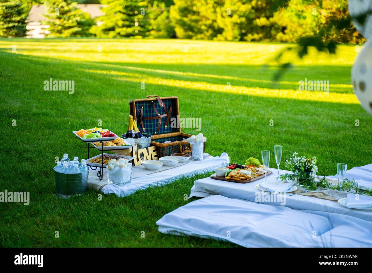 Beautiful picnic setup for special event celebration on meadow Stock ...
