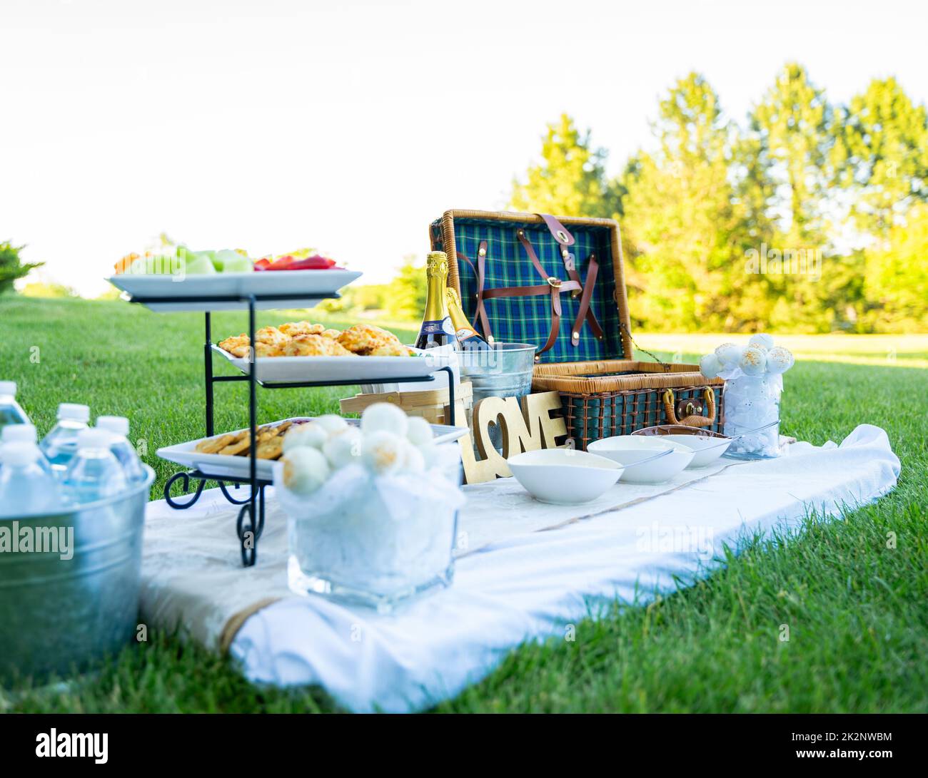 Beautiful picnic setup for special event celebration on meadow Stock ...