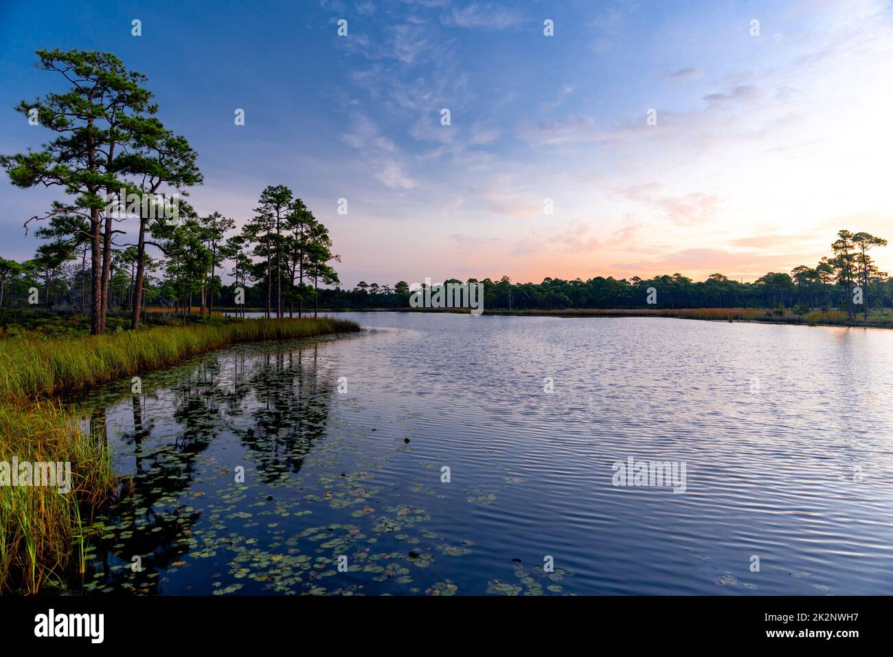 The scenic shot of Seagrove Beach at sunset in Florida, US Stock Photo ...