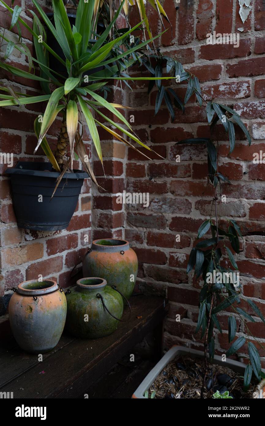 A vertical shot of a brick wall with pots and a small palm tree Stock ...