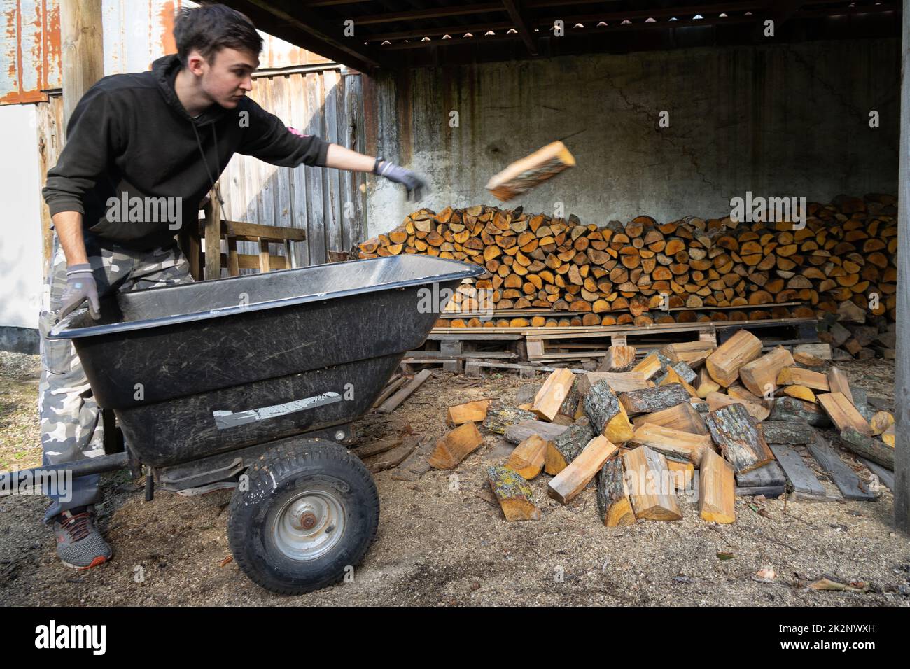 Heating with wood: Unloading a trailer full of logs for a winter ...