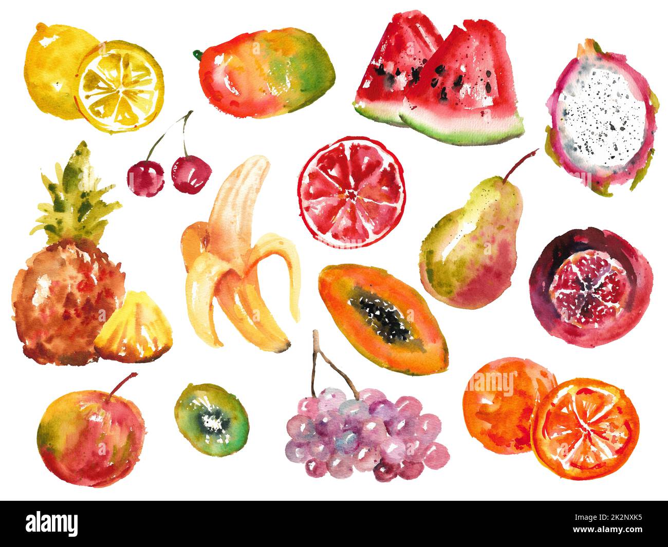 Watercolor collection of fruits. Various exotic fruits on a white ...