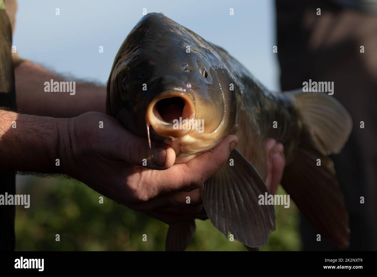 Anonymous angler hi-res stock photography and images - Alamy