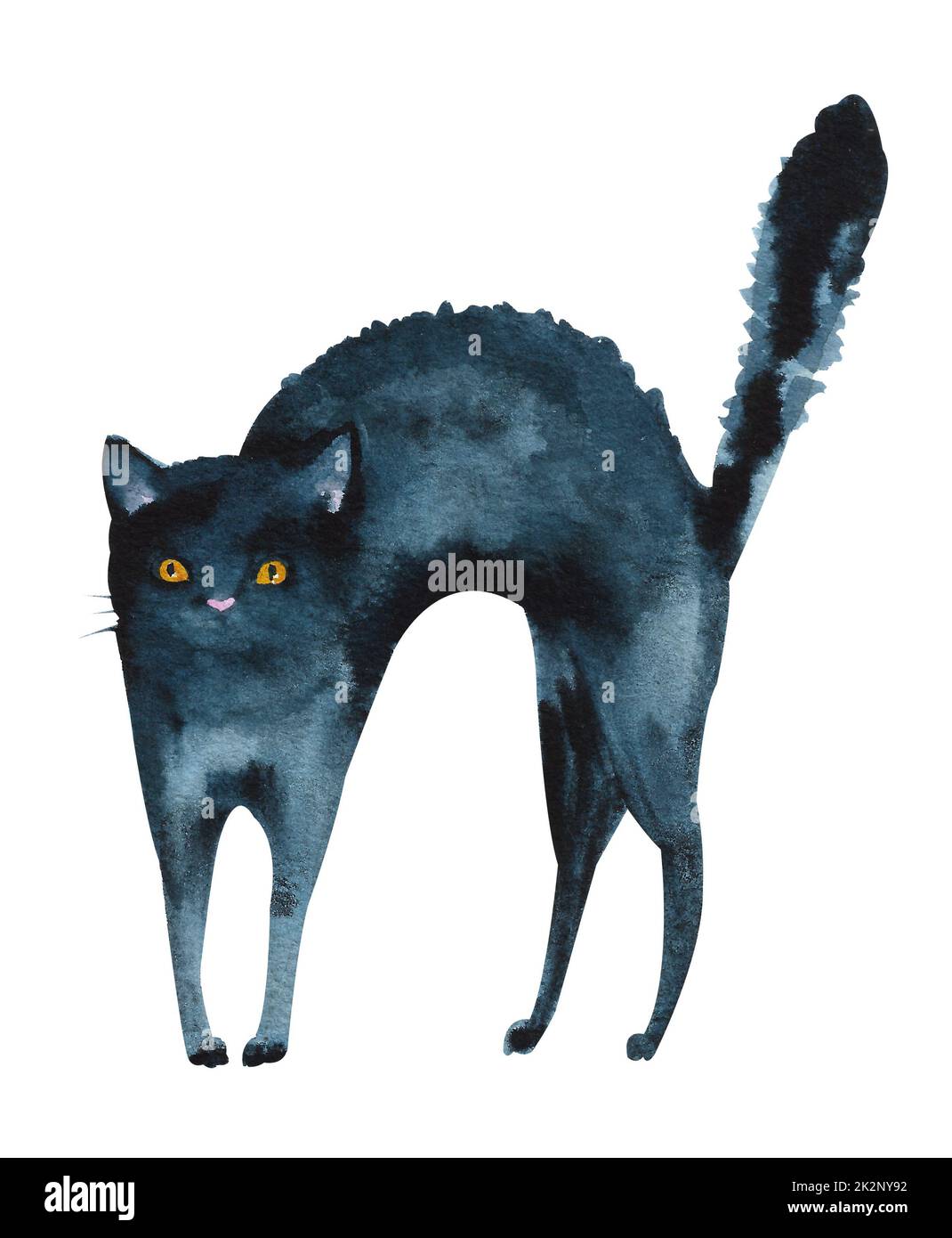 Cat angry pose Cut Out Stock Images & Pictures - Alamy