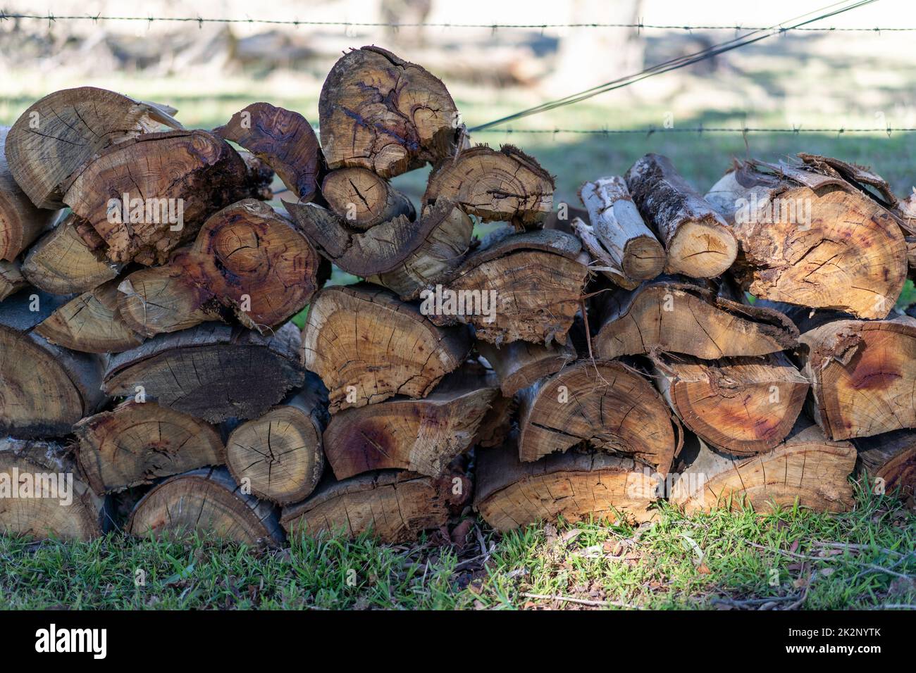 Beautiful shot stack firewood hi-res stock photography and images - Alamy