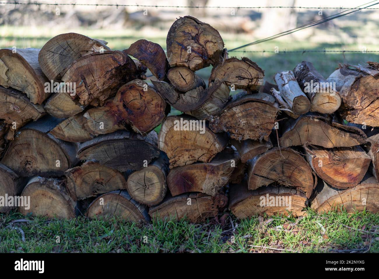 Beautiful shot stack firewood hi-res stock photography and images - Alamy