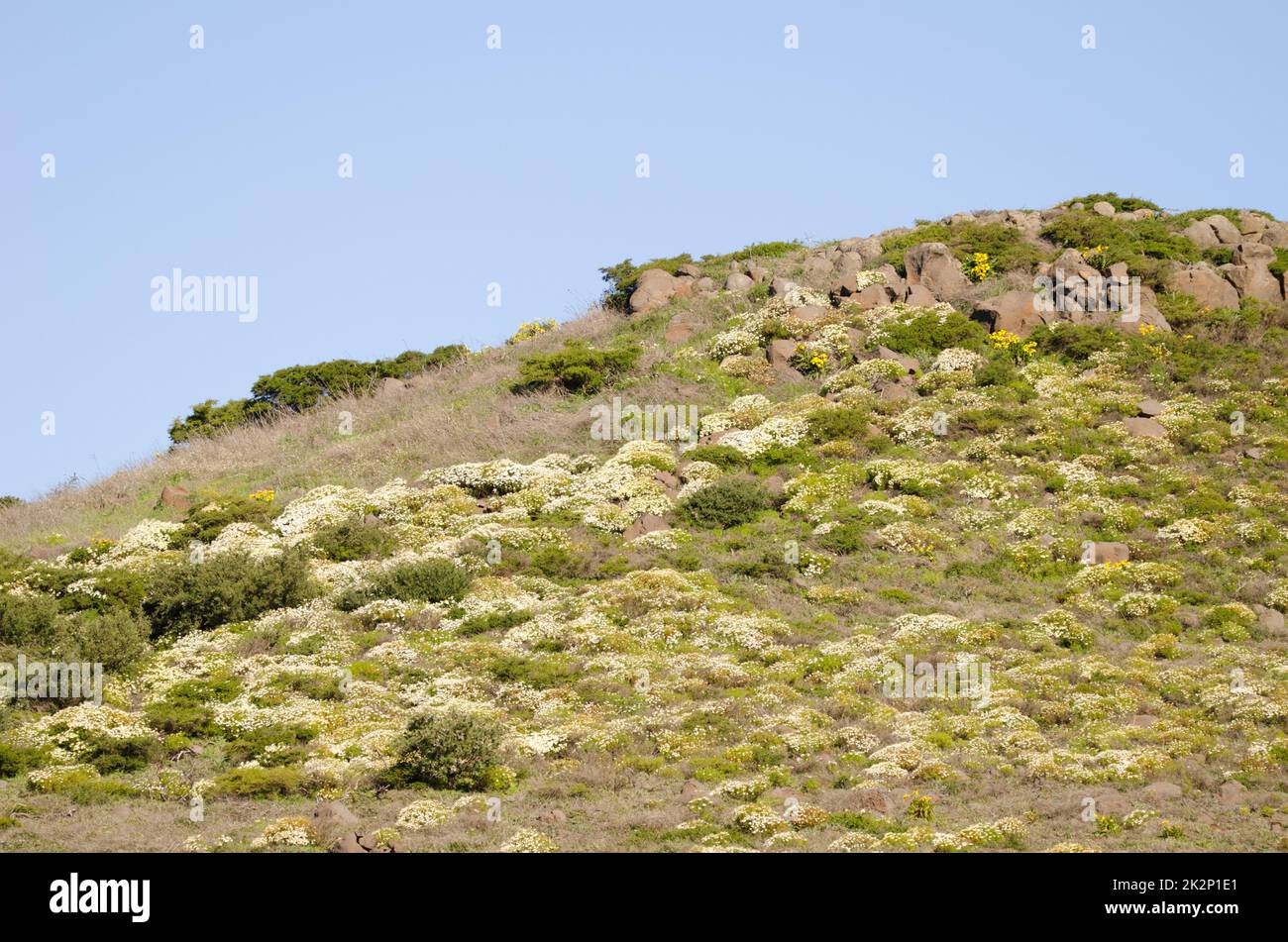Hill in the Orone Protected Landscape Stock Photo - Alamy