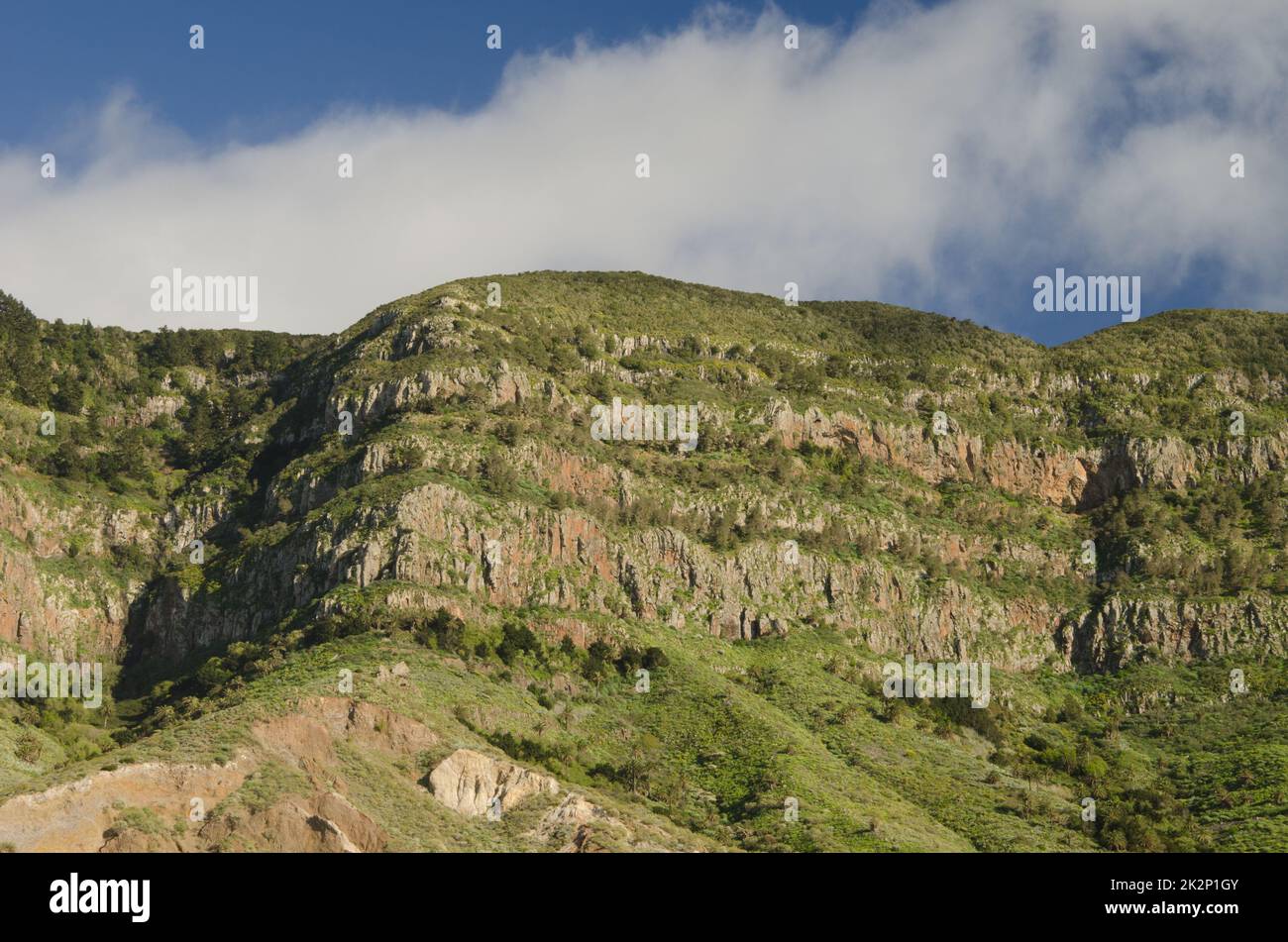 Lomo del carreton hi-res stock photography and images - Alamy