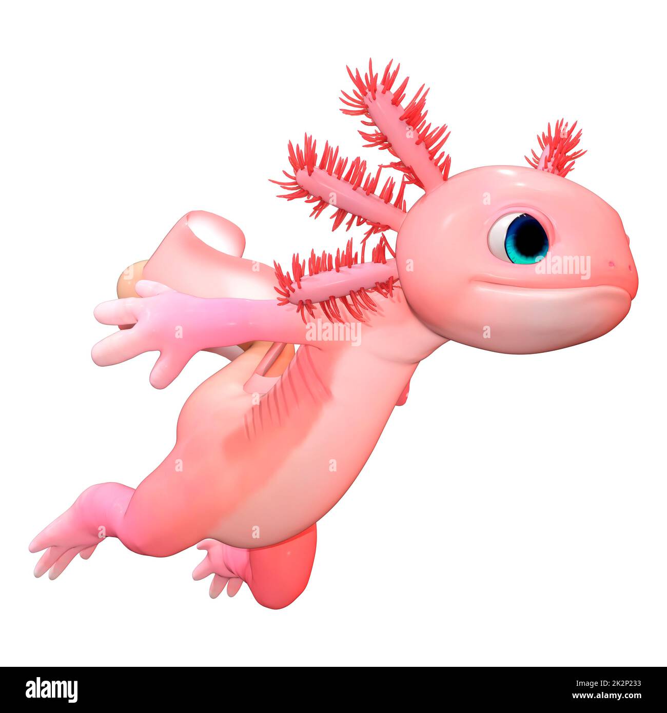 3D Rendering Cartoon Axolotl on White Stock Photo - Alamy