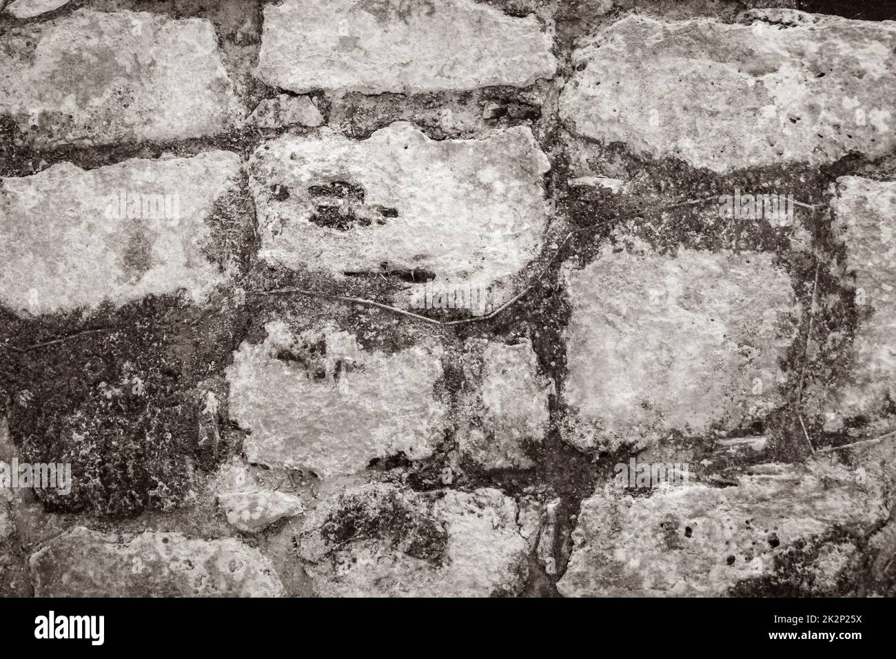 Ancient Mayan site texture temple ruins pyramids artifacts Muyil Mexico ...