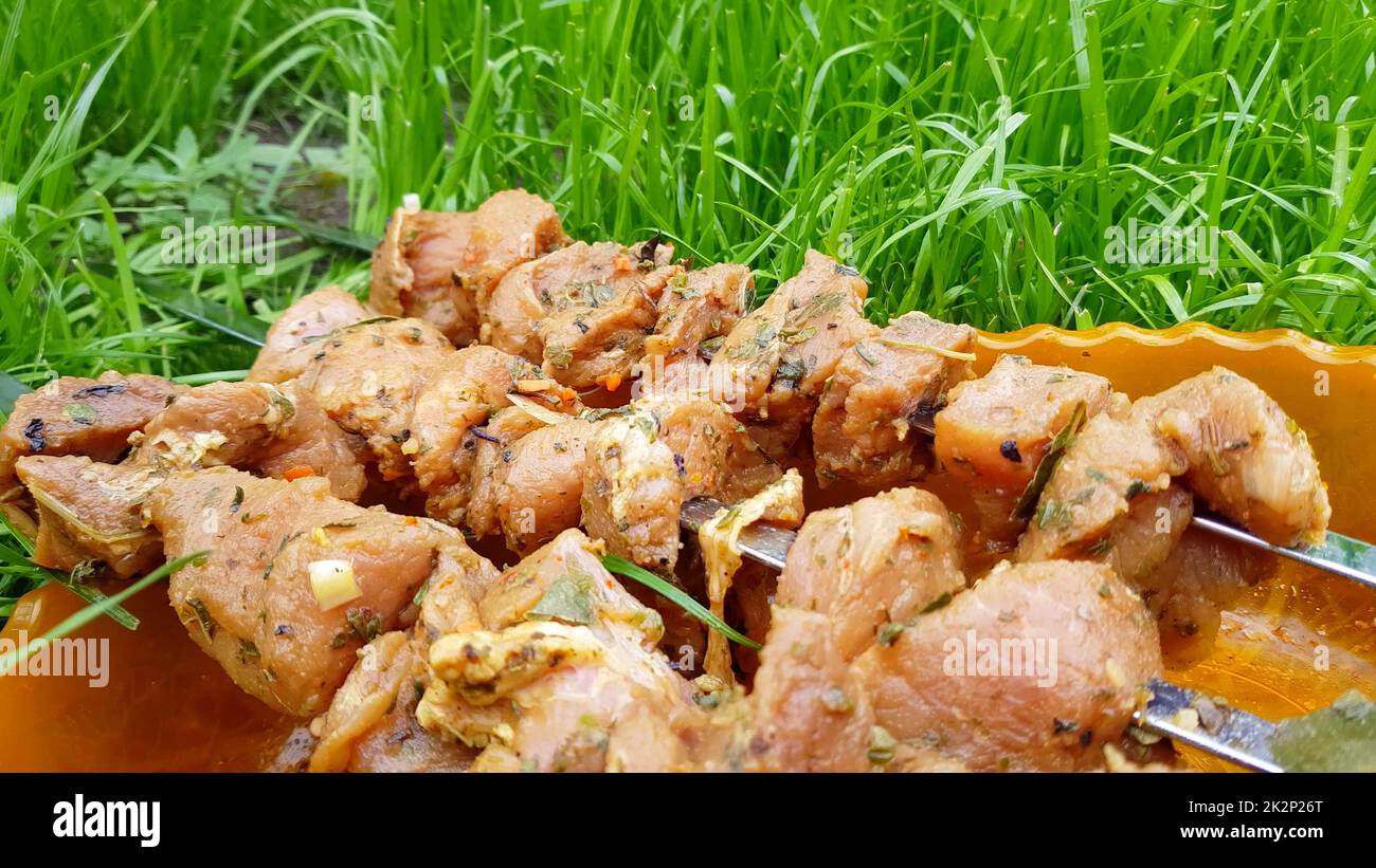 Fresh raw pork meat strung on a skewer for cooking on coals, on a ...