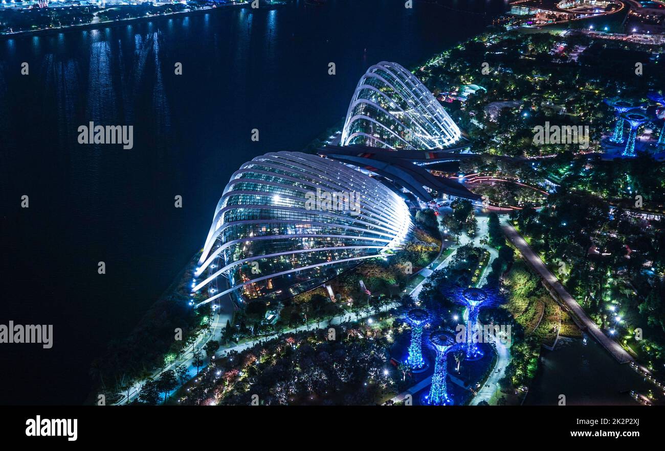 Marina Bay Sands night view from the observatory (Singapore Stock Photo ...