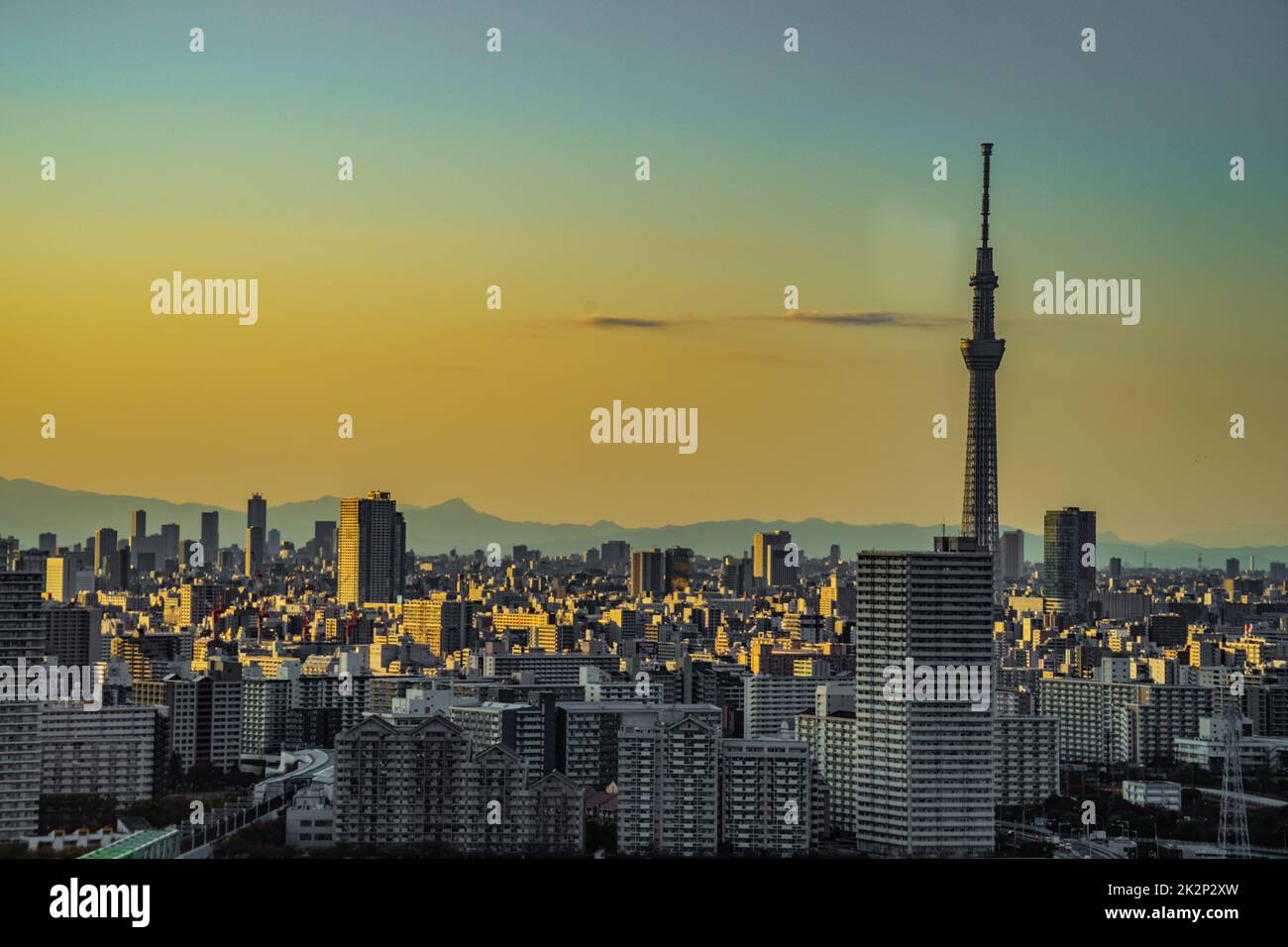 Tokyo Sky Tree and Sunset Sky Stock Photo - Alamy