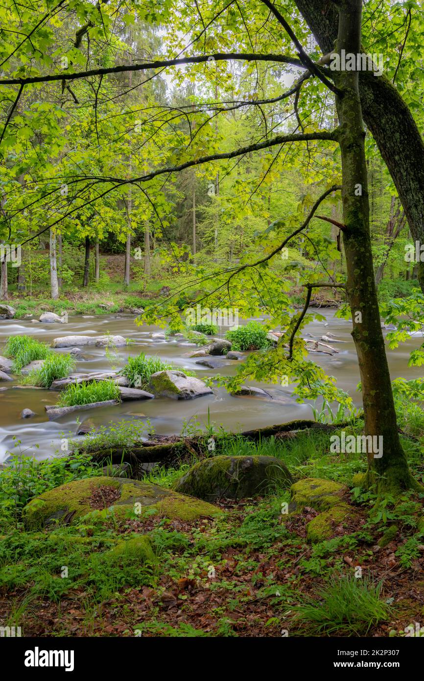 Sazava river hi-res stock photography and images - Alamy