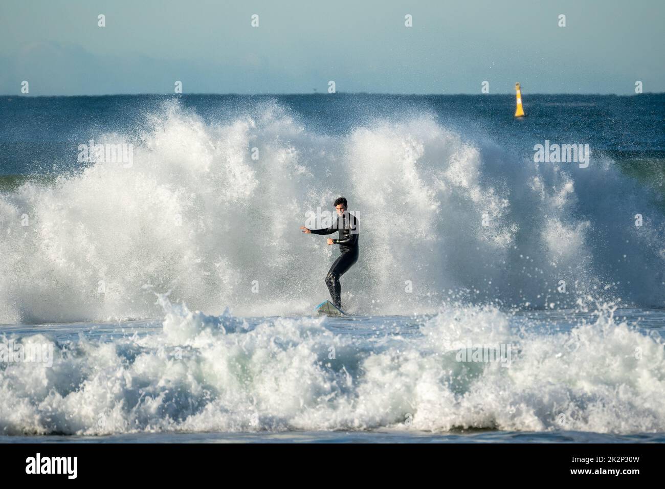 A young surfer catching waves before work on an early Friday morning at ...