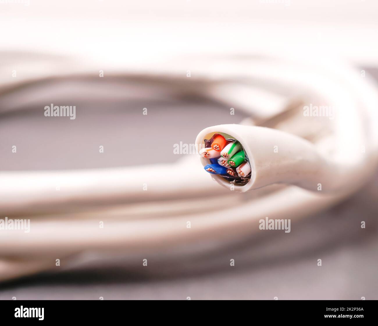 Cut up white network cable or patch cable in cross section Stock Photo ...