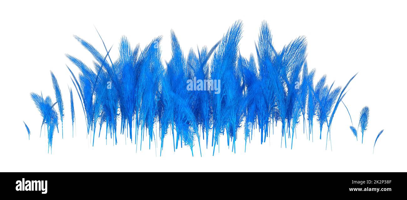 3D Rendering Alien Grass on White Stock Photo - Alamy