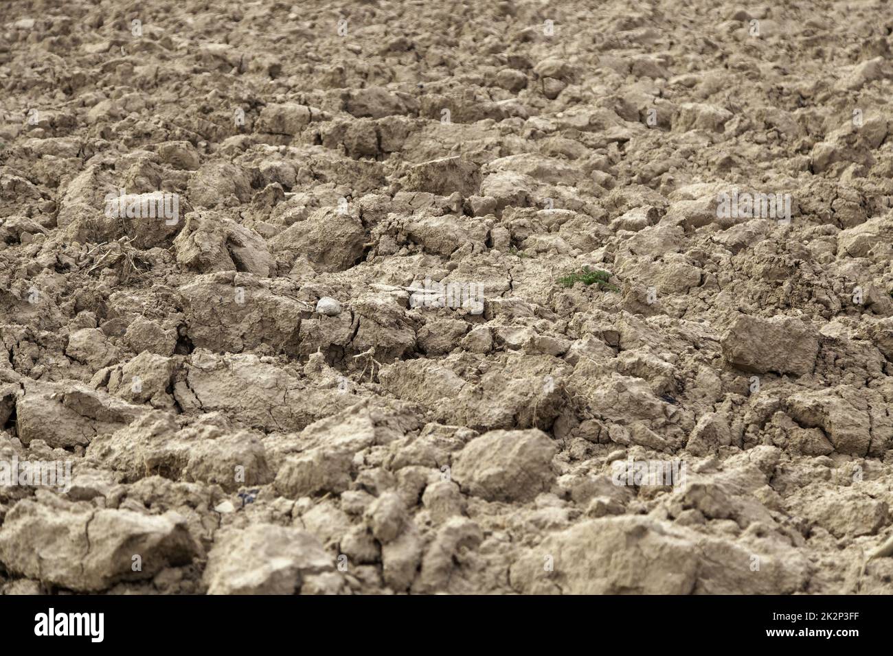 Dry land in a farm Stock Photo - Alamy