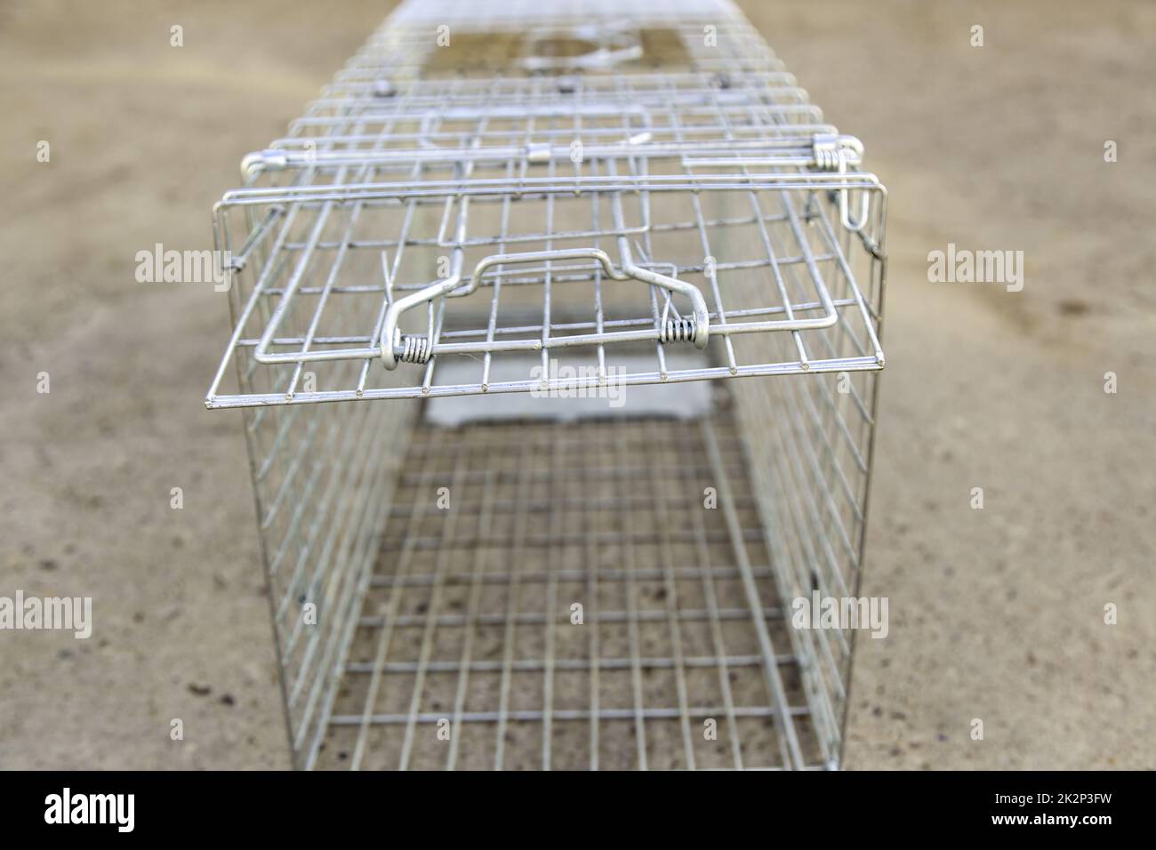 Empty cat cage Stock Photo - Alamy
