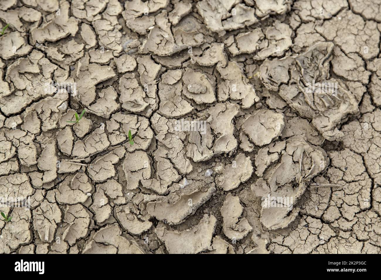 Dry and abandoned land Stock Photo - Alamy
